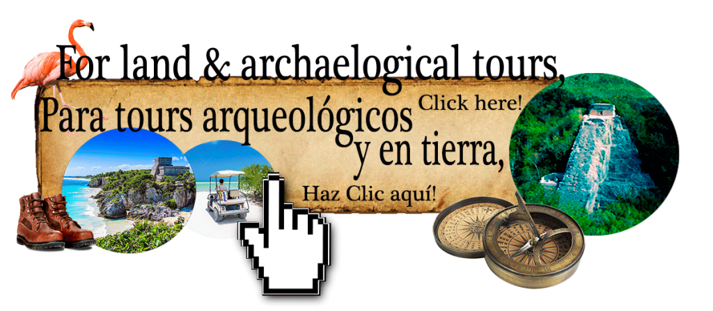 Mexican Explorer - Aqua Excursions - Riviera Maya Scuba Diving ...