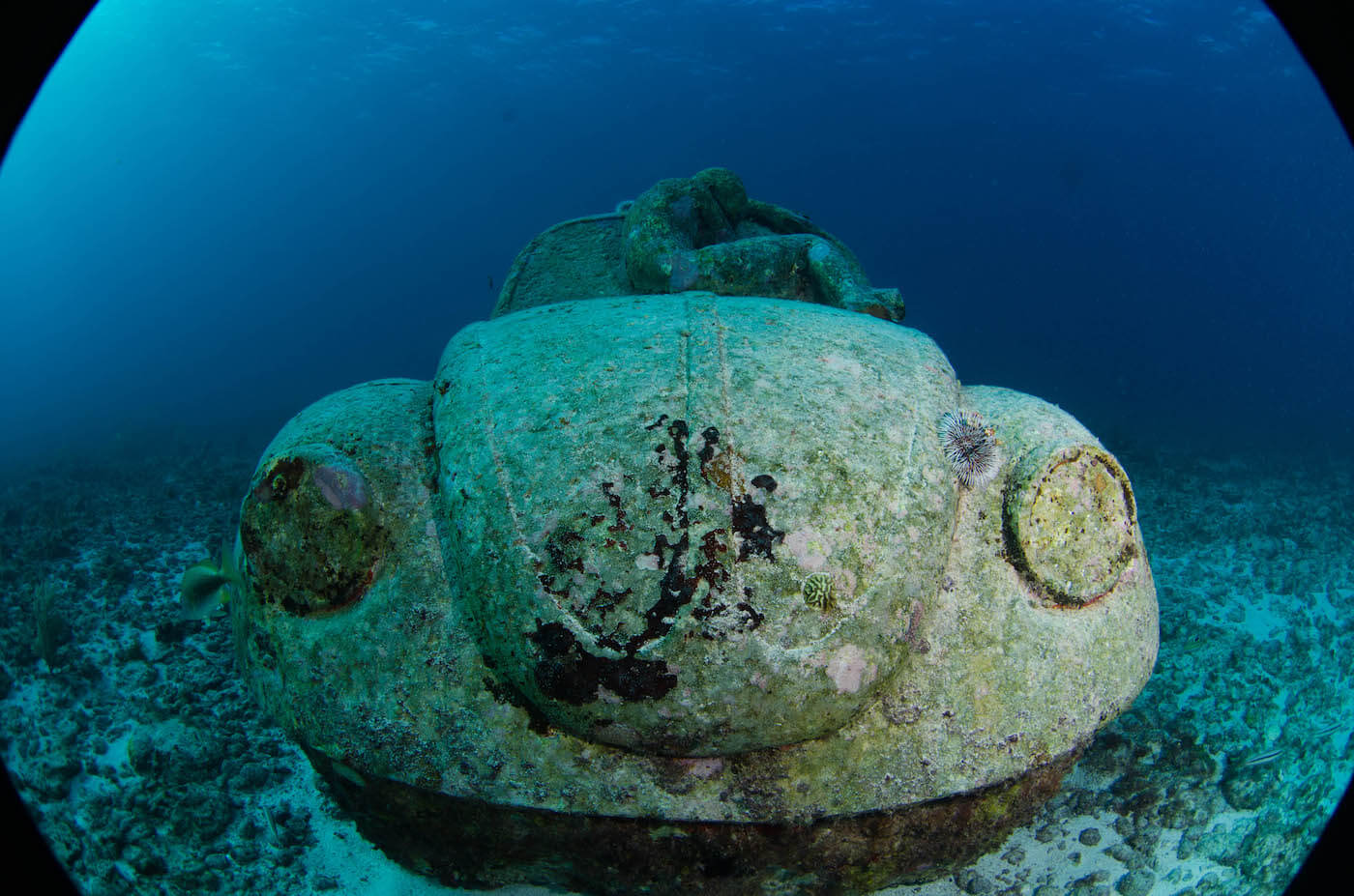 Isla Mujeres Scuba Diving - Squalo Adventures - Scuba Dive Tours & Trips